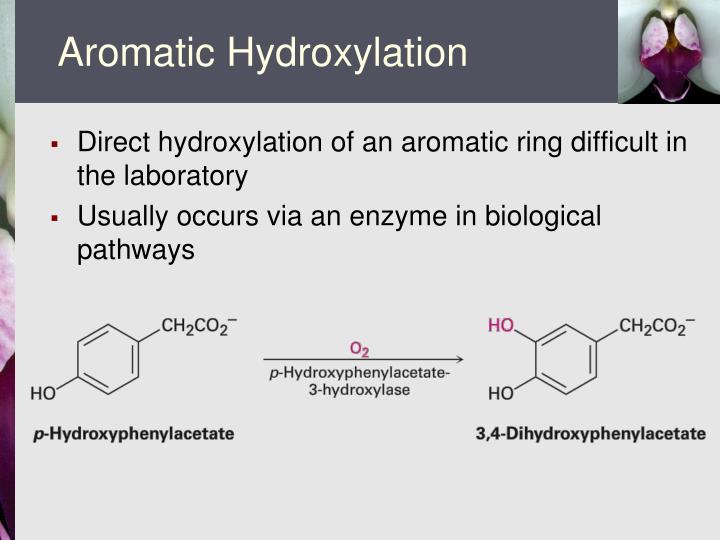 PPT - Chapter 16 Chemistry of Benzene: Electrophilic Aromatic ...