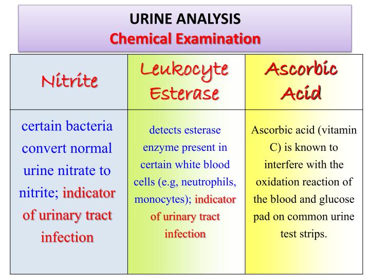 PPT - Urinalysis PowerPoint Presentation - ID:2773692