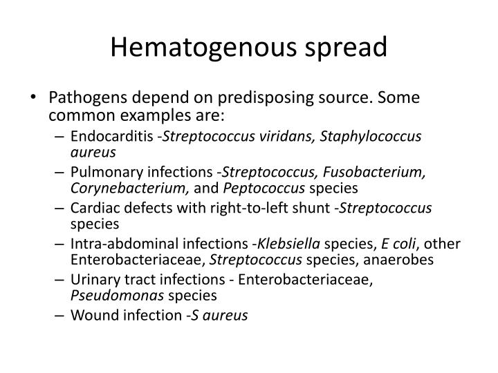 PPT - Neurosurgery Case 2: CNS Neoplasms PowerPoint Presentation - ID ...