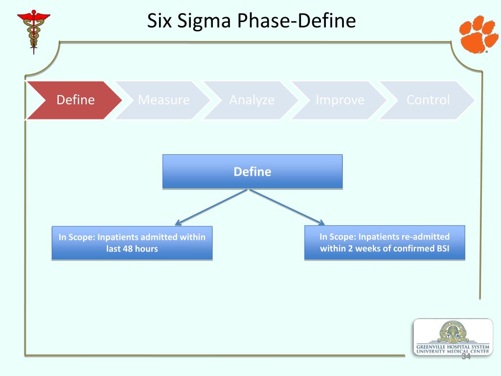 PPT - Six Sigma in Healthcare Training Model for Greenville Hospital ...