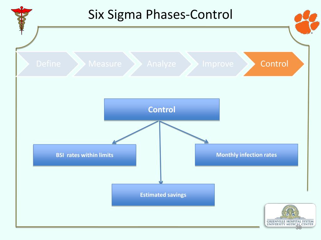 PPT - Six Sigma in Healthcare Training Model for Greenville Hospital ...
