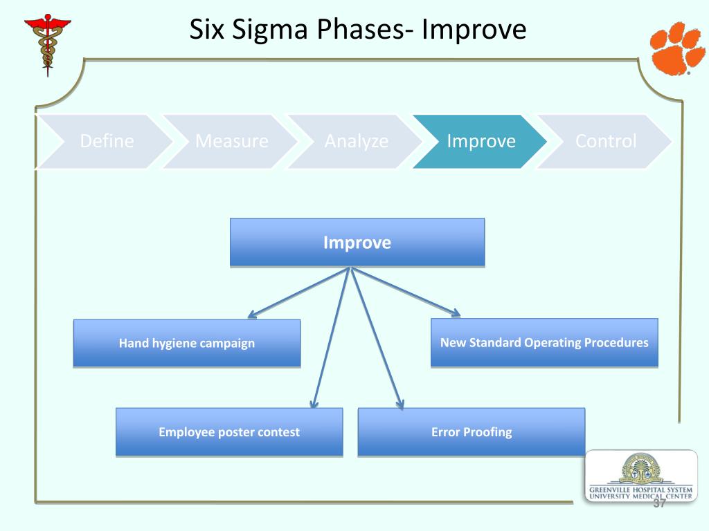 PPT - Six Sigma in Healthcare Training Model for Greenville Hospital ...