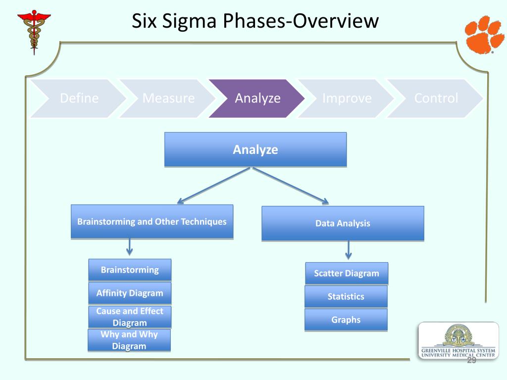 PPT - Six Sigma in Healthcare Training Model for Greenville Hospital ...