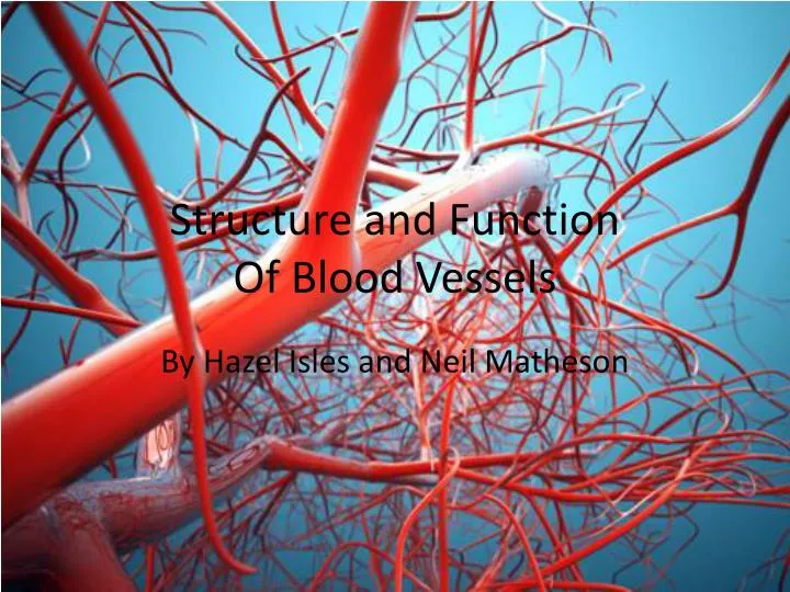 PPT - Structure and Function Of Blood Vessels PowerPoint Presentation ... PPT - Structure and Function Of Blood Vessels PowerPoint Presentation ...