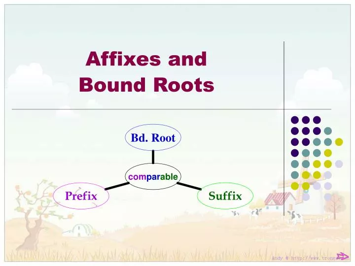 PPT - Affixes and Bound Roots PowerPoint Presentation, free download ...