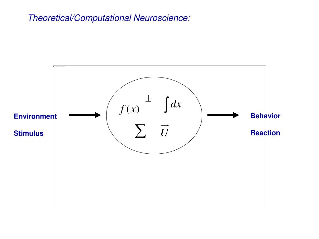 PPT - Basics of Computational Neuroscience PowerPoint Presentation ... PPT - Basics of Computational Neuroscience PowerPoint Presentation ...
