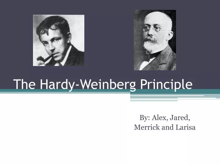 Hardy Weinberg