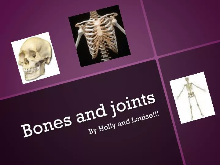 PPT - Bones and joints PowerPoint Presentation, free download - ID:2778166