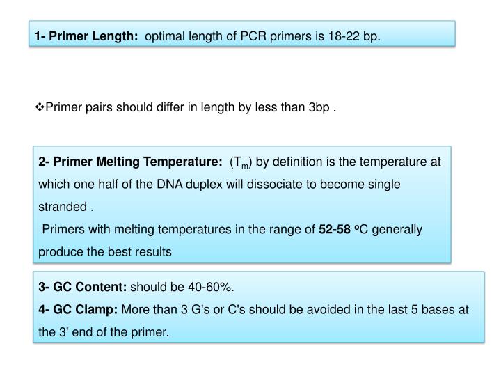 PPT - PRIMER DESIGNING PowerPoint Presentation - ID:2778267