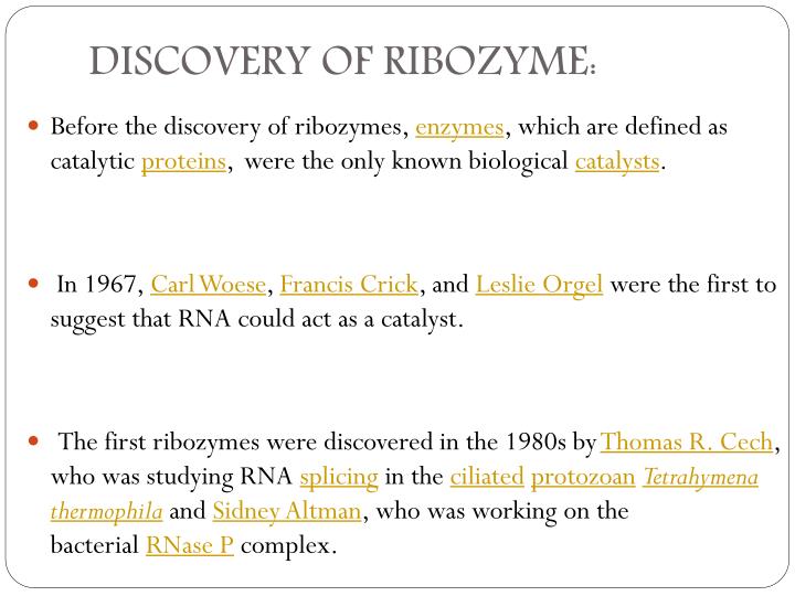 PPT - RIBOZYME PowerPoint Presentation - ID:2778396
