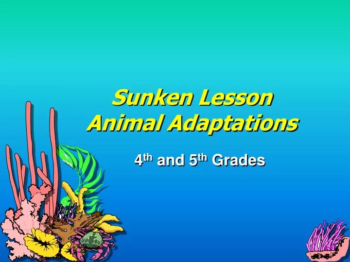 PPT - Sunken Lesson Animal Adaptations PowerPoint Presentation, free ...