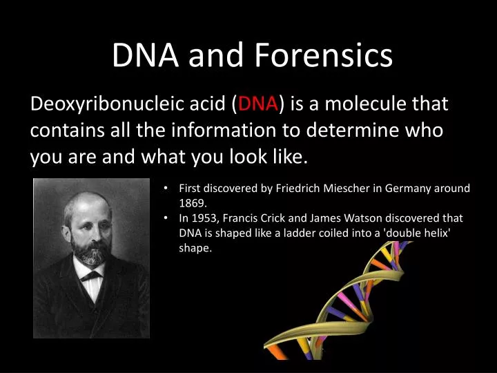 PPT - DNA and Forensics PowerPoint Presentation, free download - ID:2778455