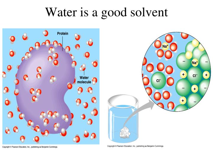 PPT - All Hail Polarity PowerPoint Presentation - ID:2778593
