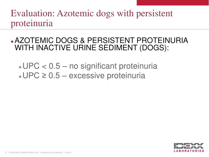 Proteinuria In Dogs