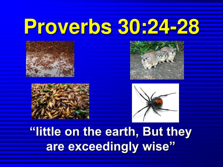 PPT - Psalm 32:1-11 PowerPoint Presentation - ID:2778843