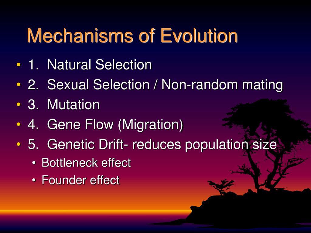 PPT - Darwin vs. Lamarck PowerPoint Presentation, free download - ID ... PPT - Darwin vs. Lamarck PowerPoint Presentation, free download - ID ...