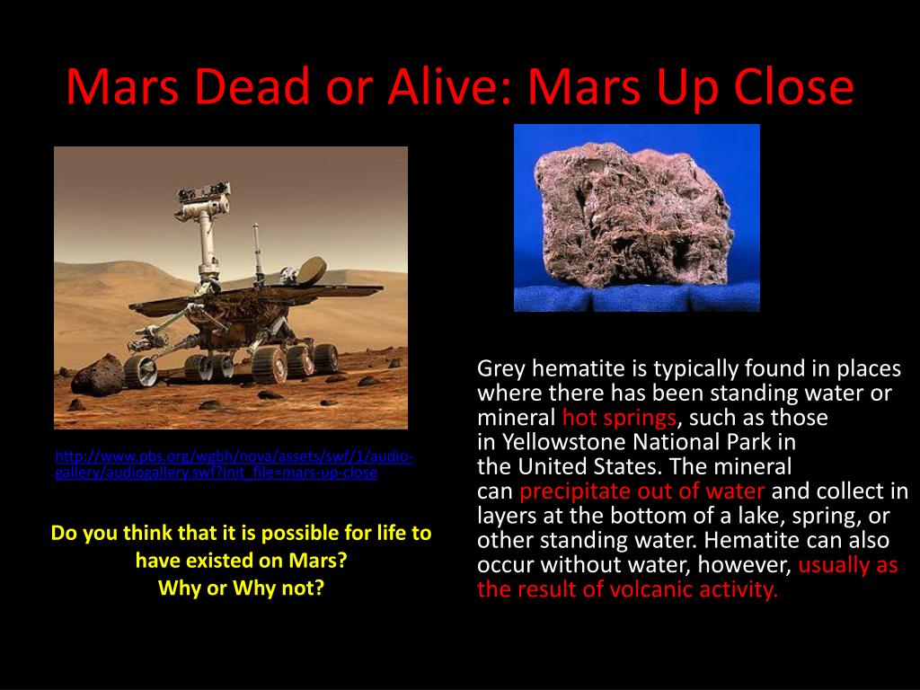 PPT - Development of a Habitable Planet PowerPoint Presentation, free ...