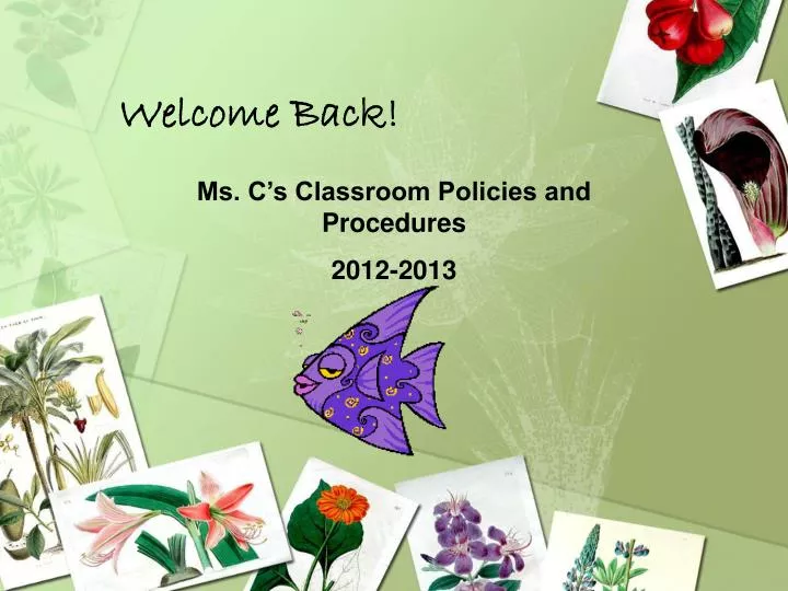 PPT - Welcome Back! PowerPoint Presentation, free download - ID:2779895