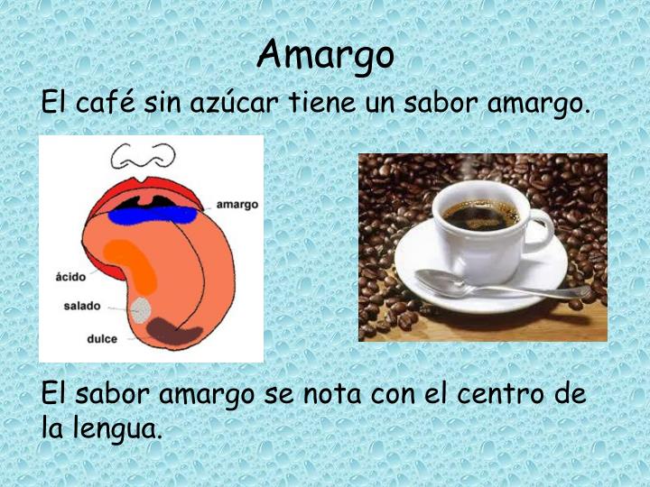 PPT - El sentido del gusto y los sabores PowerPoint Presentation - ID ...