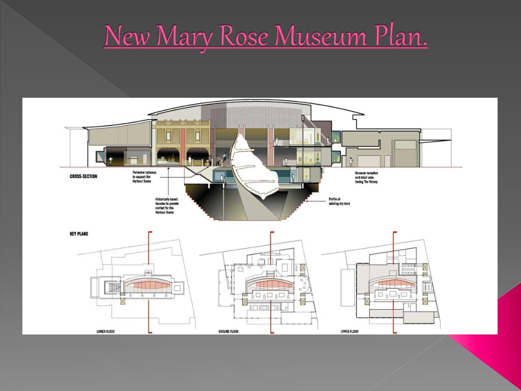 PPT - Tudor Warship - ‘The Mary Rose’ by Cameron Mayes PowerPoint ...