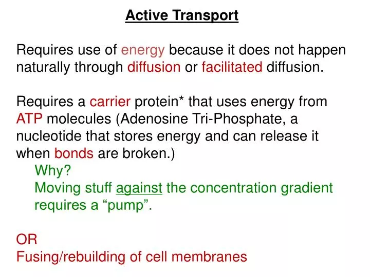 PPT - Active Transport PowerPoint Presentation, free download - ID:2781820