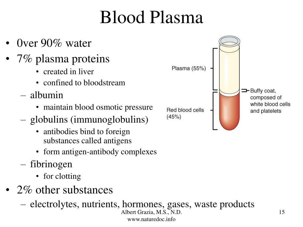 PPT - Anatomy & Physiology 2 Ch 19 - Blood PowerPoint Presentation - ID ...