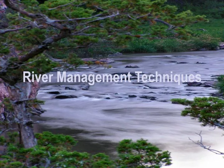 PPT - River Management Techniques PowerPoint Presentation, free ...
