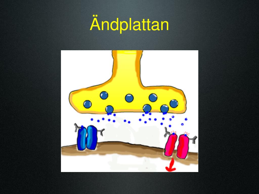 PPT - Albert Hietala, specialistläk, med dr Neurologen Sahlgrenska ...