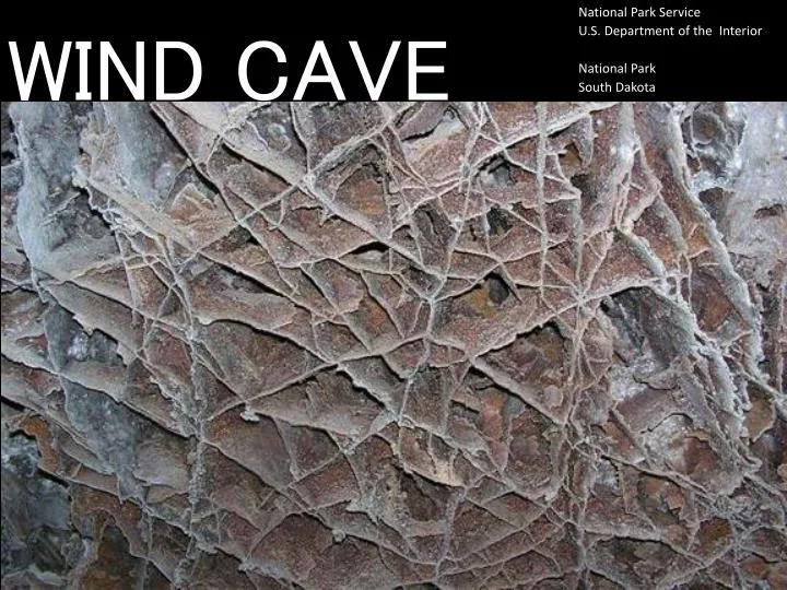 PPT - WIND CAVE PowerPoint Presentation, free download - ID:2783709