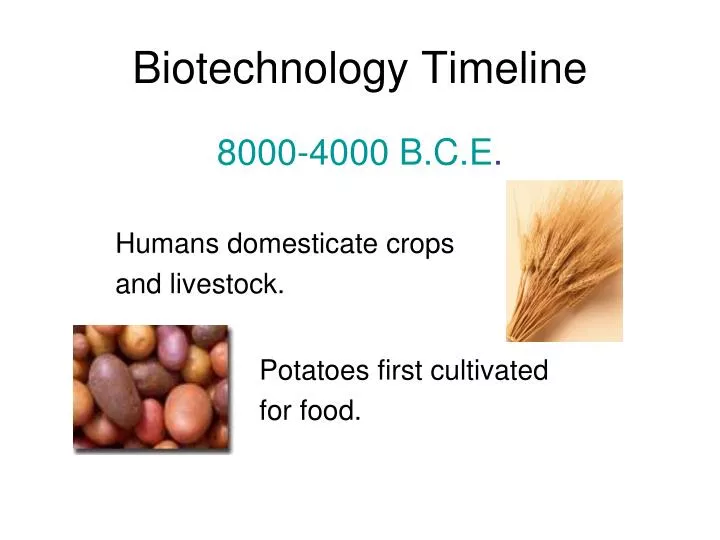 PPT - Biotechnology Timeline PowerPoint Presentation, free download ...