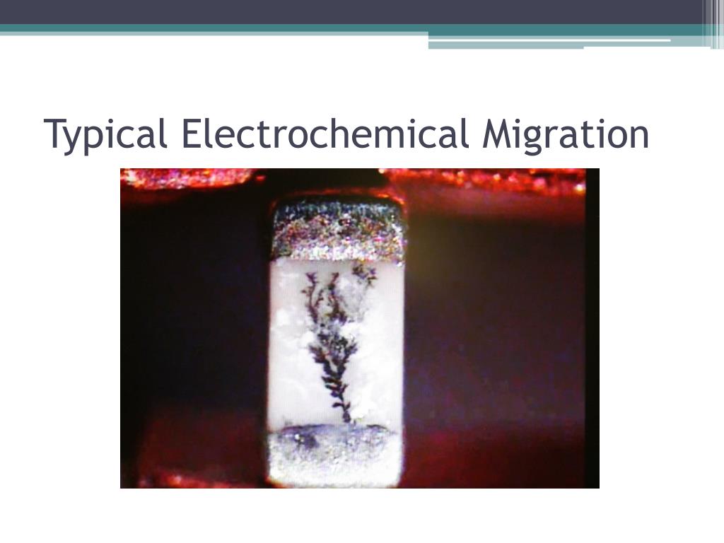 PPT - Tin Whiskers Grown on PCBA Detail Presentation PowerPoint ...