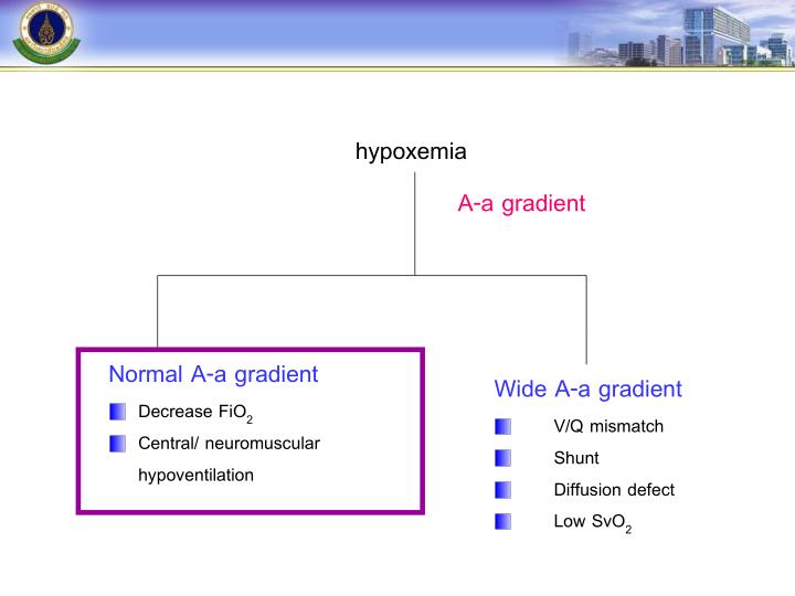 PPT - Arterial Blood Gas Interpretation PowerPoint Presentation - ID ...