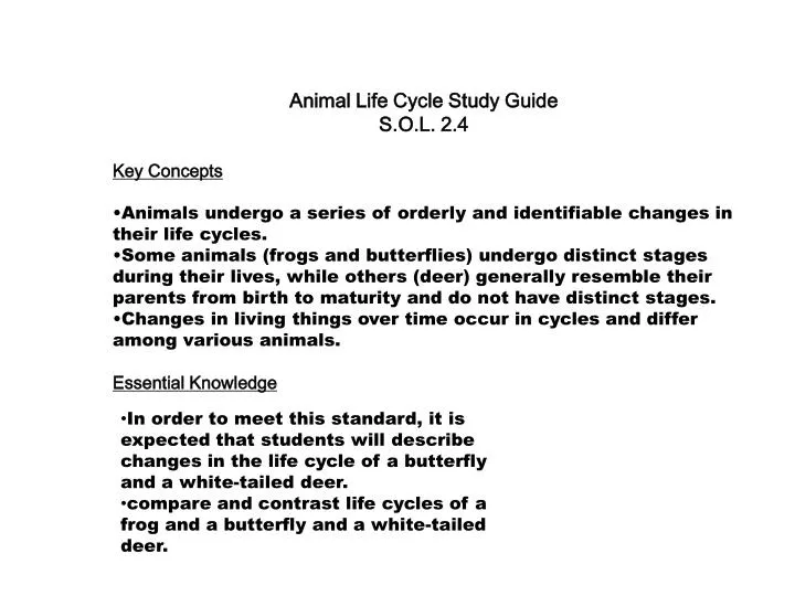 PPT - Animal Life Cycle Study Guide S.O.L. 2.4 Key Concepts PowerPoint ...