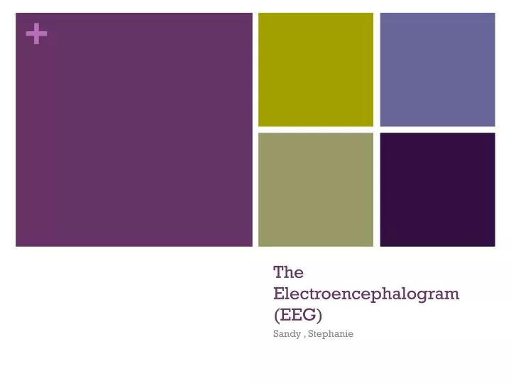 PPT - The Electroencephalogram (EEG) PowerPoint Presentation, free ...