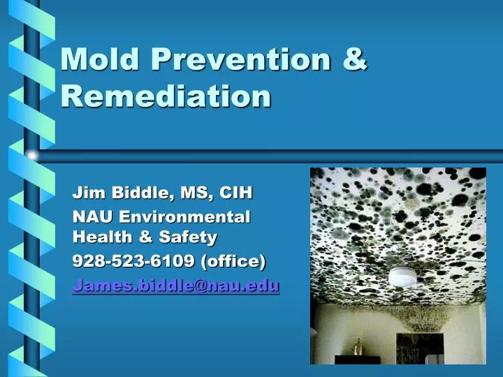 PPT - Mold Prevention & Remediation PowerPoint Presentation, free ...