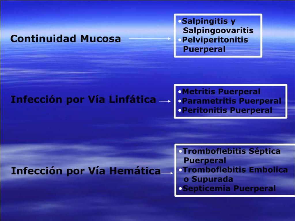 PPT - Dra. Silvia Cristina Gómez PowerPoint Presentation, free download ...