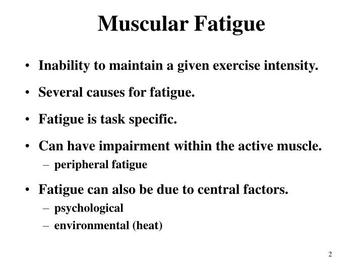PPT - Fatigue During Muscular Exercise PowerPoint Presentation - ID:2786927