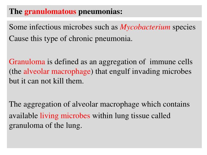 PPT - Pneumonia: PowerPoint Presentation - ID:2787113