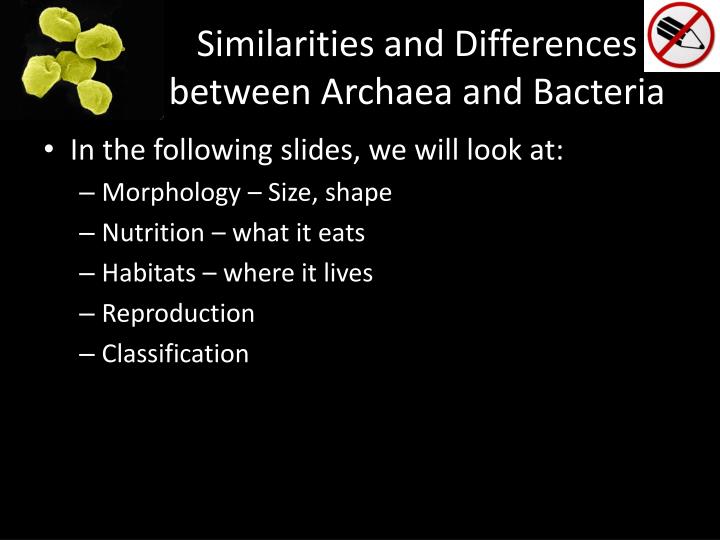 Archaea Vs Bacteria Archaea Vs Bacteria