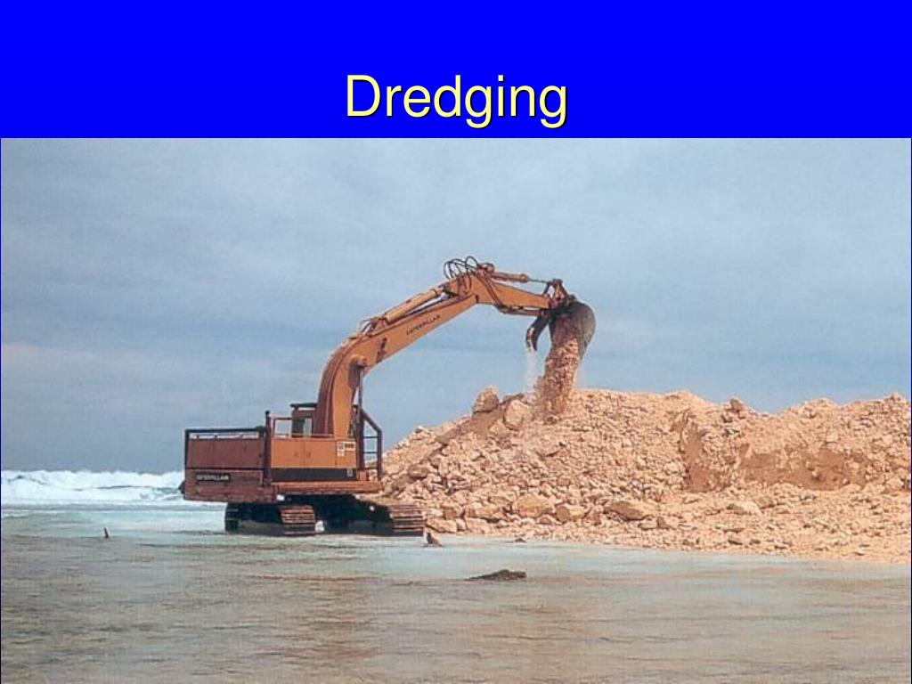 PPT - Human Impacts on Coral Reefs PowerPoint Presentation, free ...