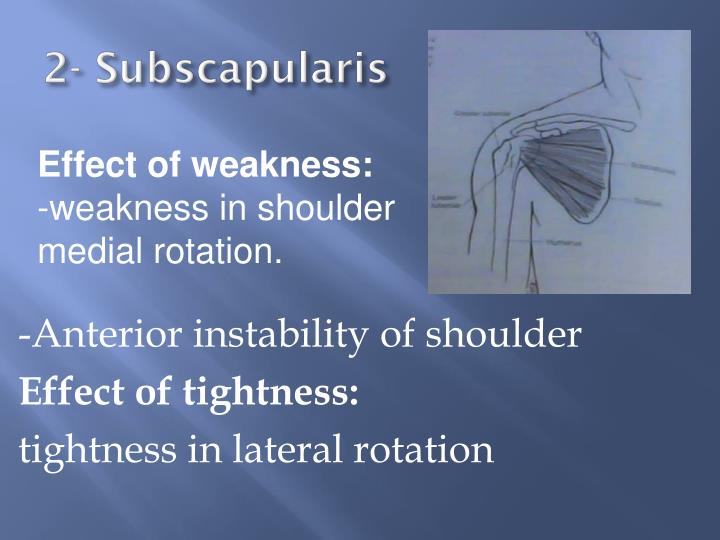 PPT - Pathomechanics of Shoulder II PowerPoint Presentation - ID:2788927