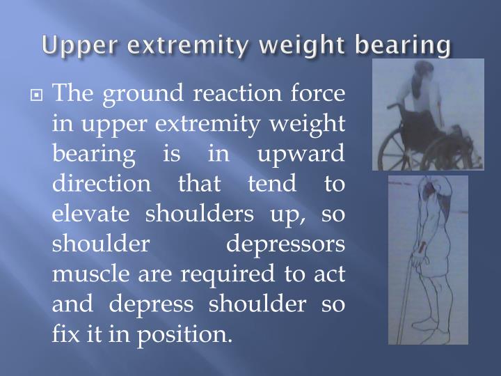 PPT - Pathomechanics of Shoulder II PowerPoint Presentation - ID:2788927