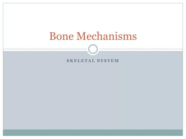 PPT - Bone Mechanisms PowerPoint Presentation, free download - ID:2790118