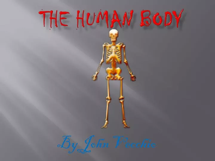 PPT - The Human Body PowerPoint Presentation, free download - ID:2791342
