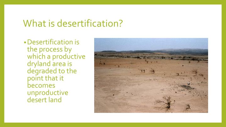 PPT - Biodiversity PowerPoint Presentation - ID:2791553