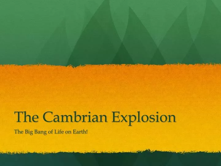 PPT - The Cambrian Explosion PowerPoint Presentation, free download ...