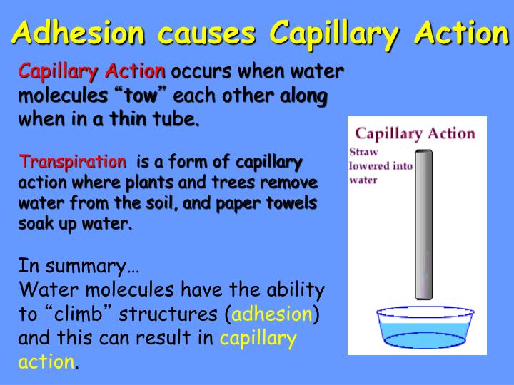 PPT - The Properties of Water PowerPoint Presentation - ID:2793230