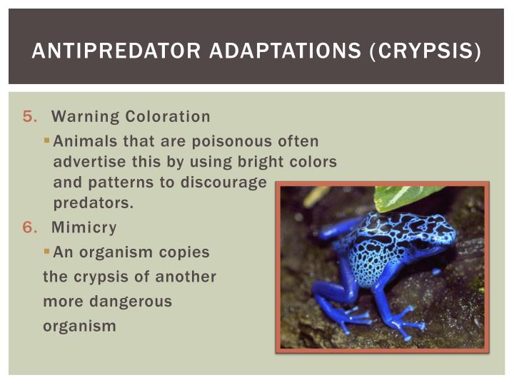 PPT - Community ecology PowerPoint Presentation - ID:2793543