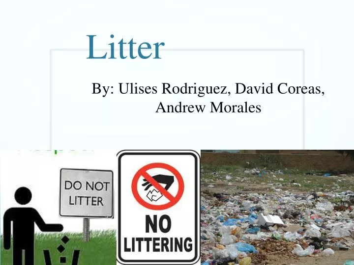 PPT - Litter PowerPoint Presentation, free download - ID:2793659