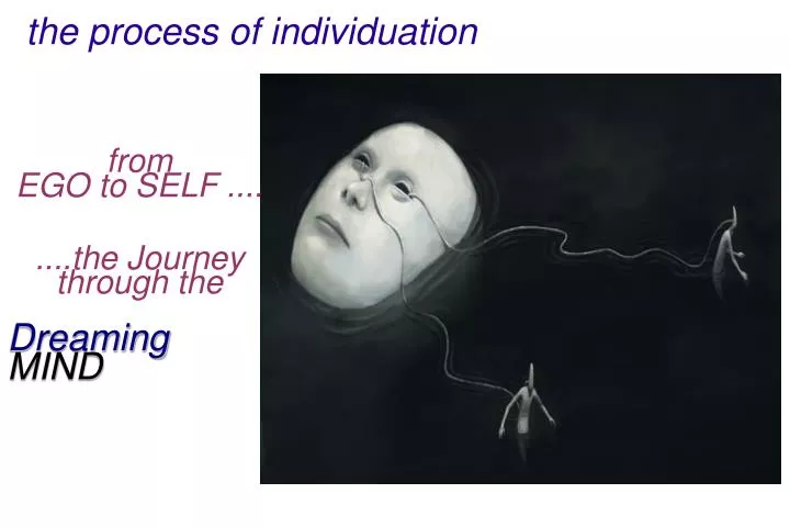 PPT - the process of individuation PowerPoint Presentation, free ...